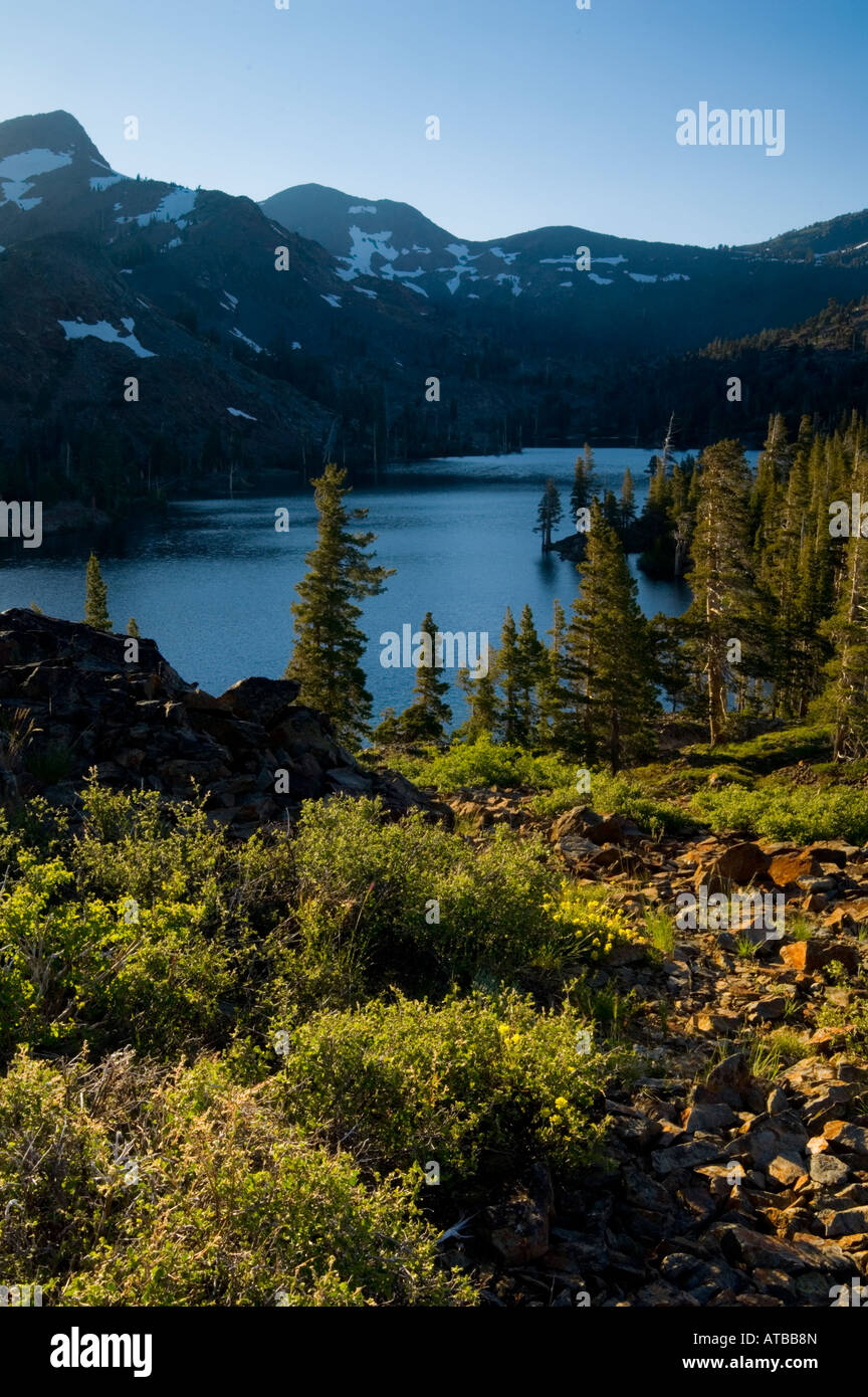 Overlooking the alpine forest and mountains above Suzie Lake Desolation ...