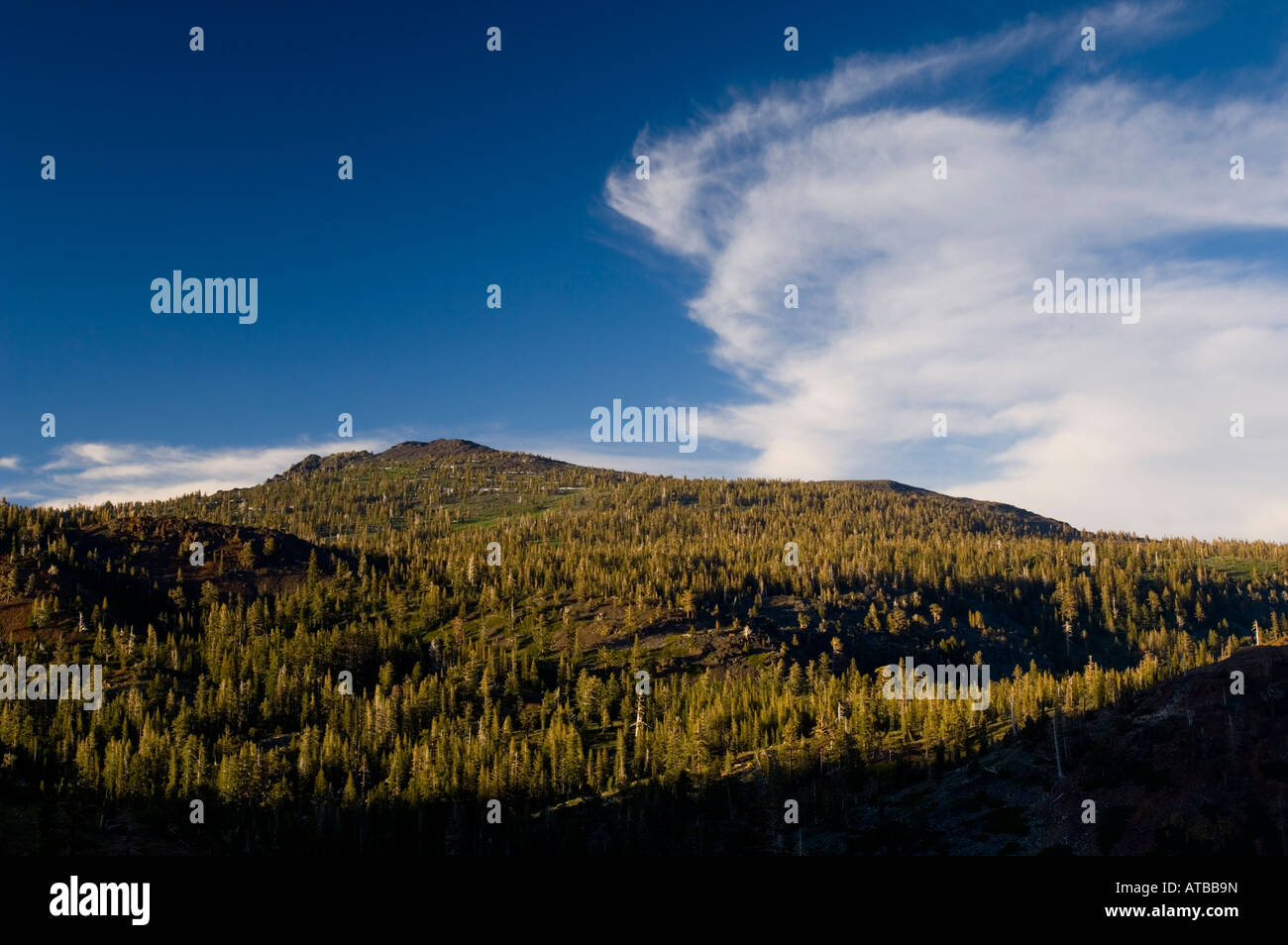 Southwest face of Mount Tallac Desolation Wilderness El Dorado National ...