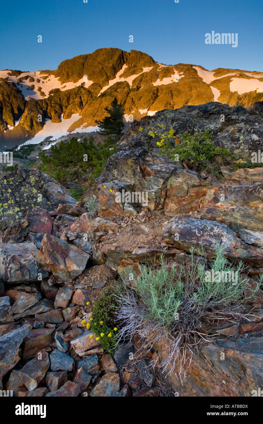 Alpenglow at sunrise on Cracked Crag Desolation Wilderness El Dorado ...