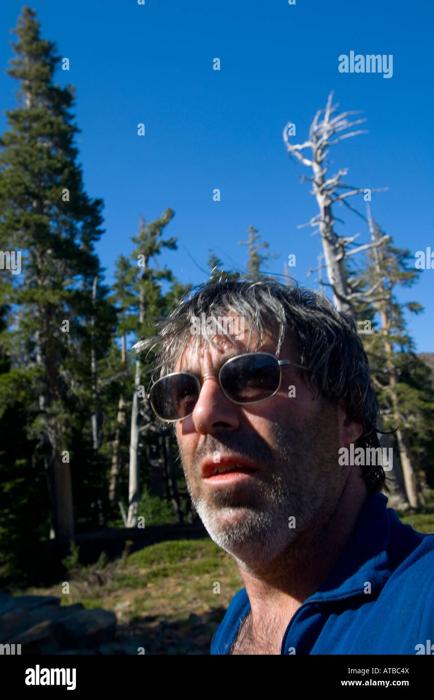 Backpacker in forest in Desolation Wilderness El Dorado National Forest ...