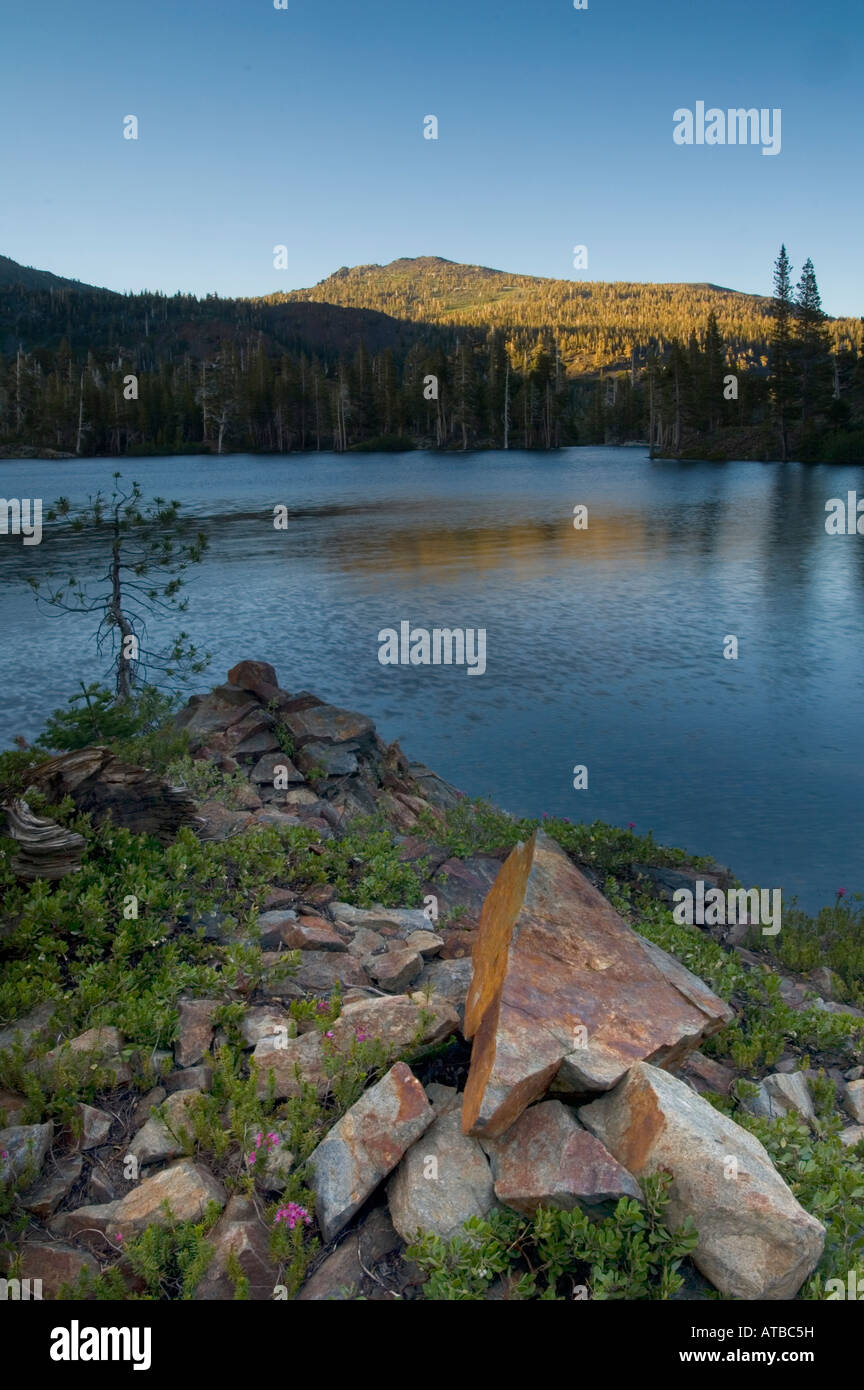 Sunset light on Mount Tallac over Suzie Lake Desolation Wilderness El ...