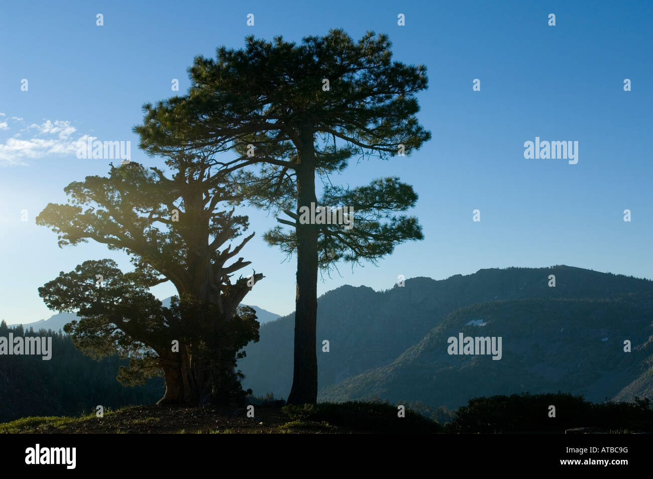 Desolation wilderness alpine forest hi-res stock photography and images ...