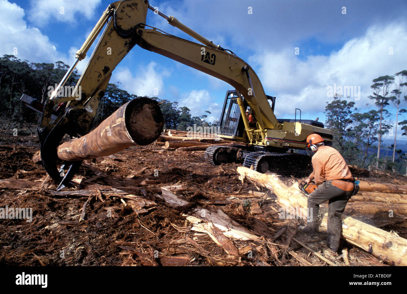 Loading cut tree logs in Tasmania Photo by Bruce Miller © Stock Photo ...