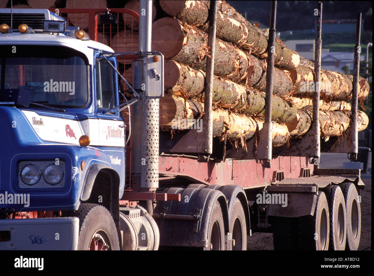 Loading cut tree logs in Tasmania Photo by Bruce Miller © Stock Photo ...