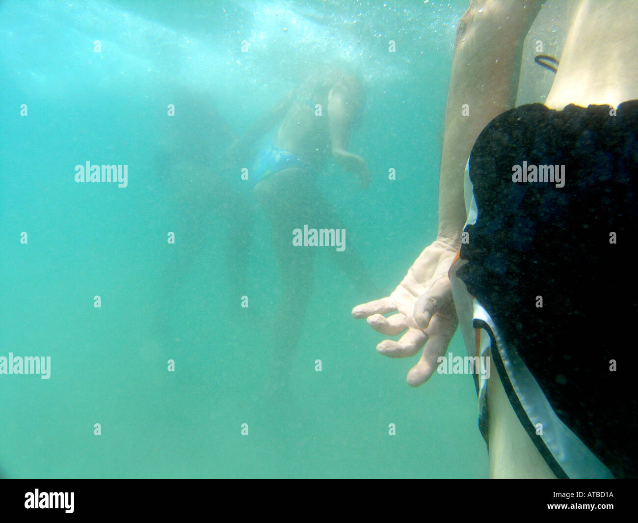 hands and body underwater, photo by Bruce Miller 4 04 Stock Photo - Alamy