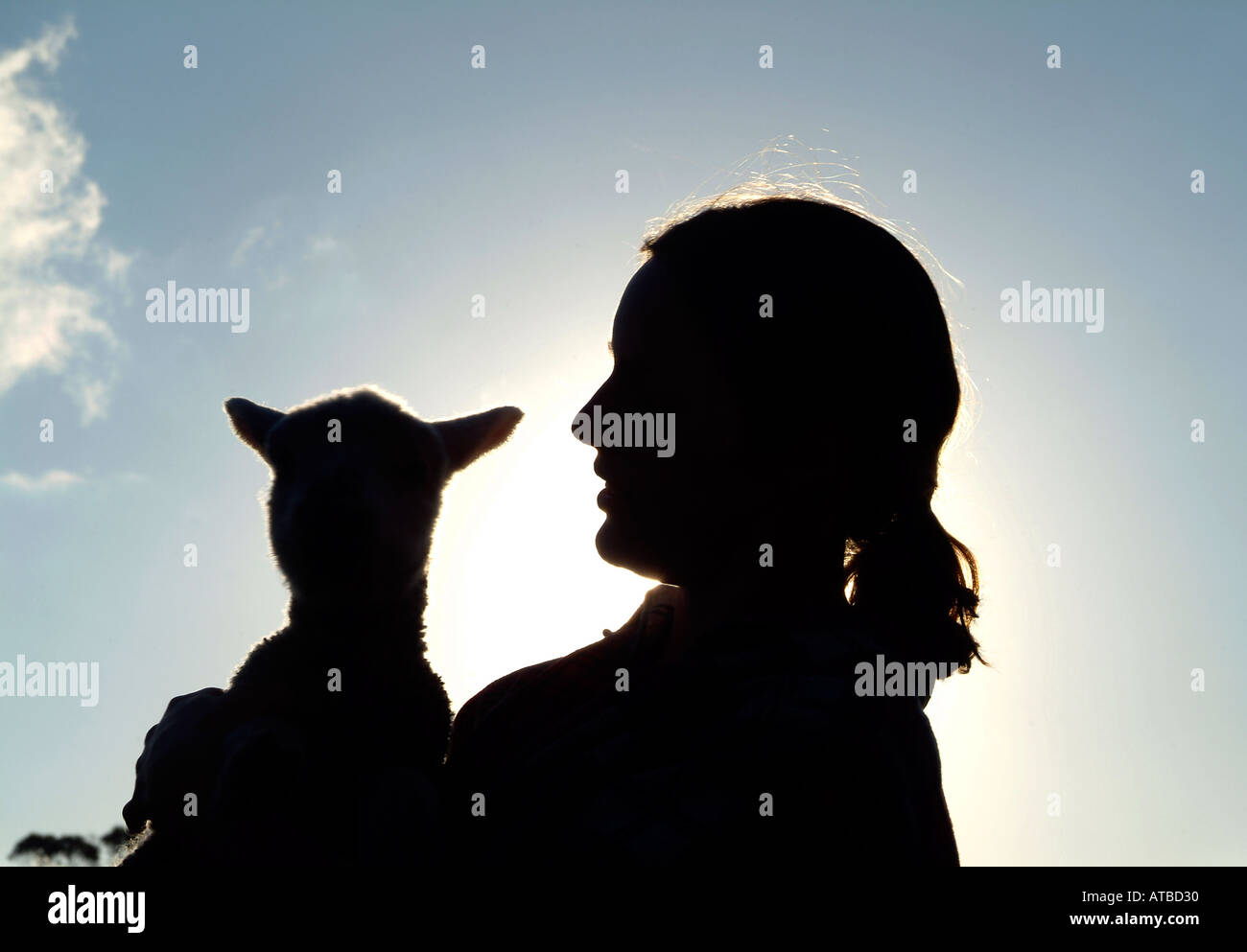 Backlit photo of a girl with a pet lamb. photo by Bruce Miller 6 03 ...