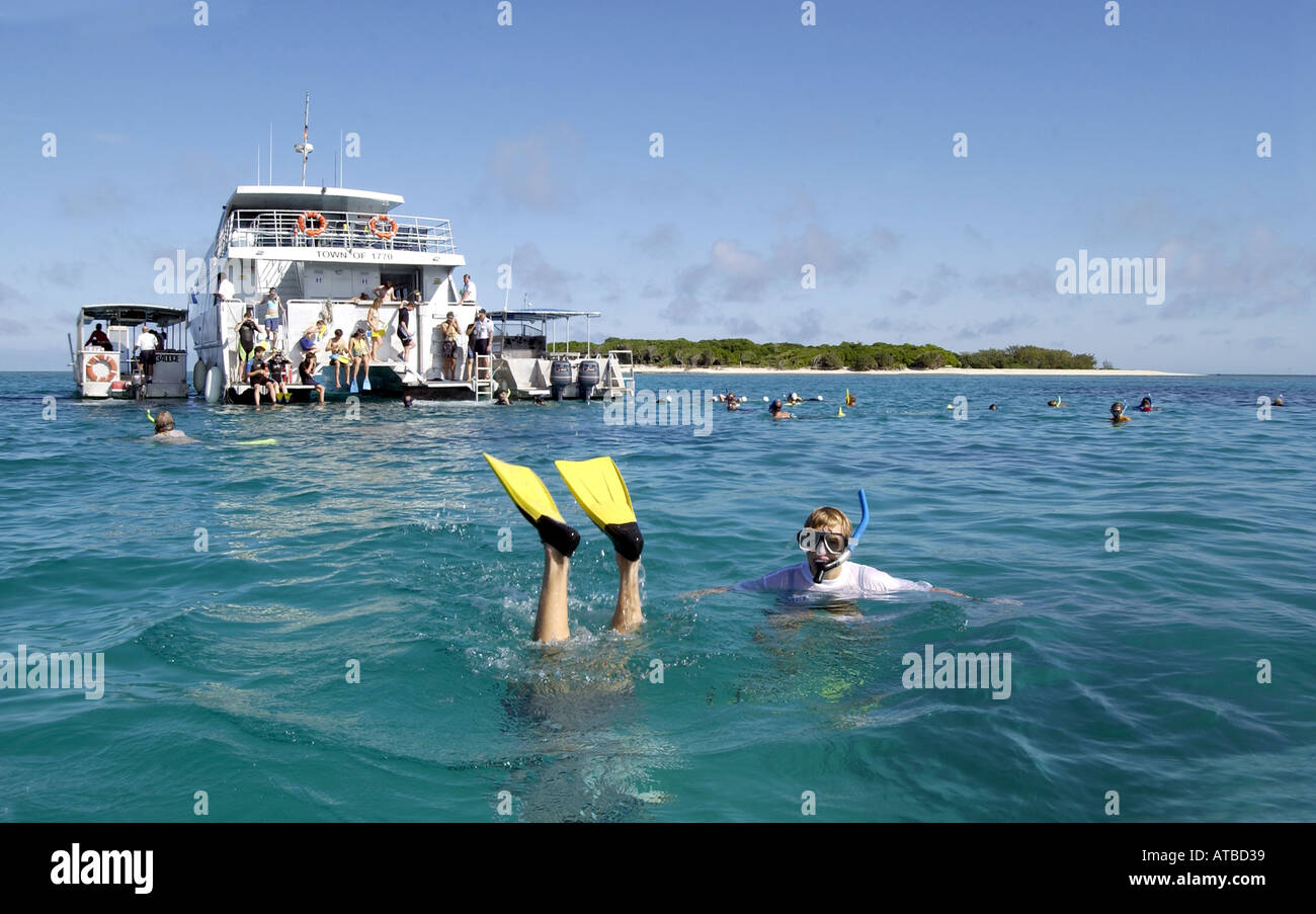 Divers off Lady Musgrave Island, Great Barrier Reef, Queensland, photo ...