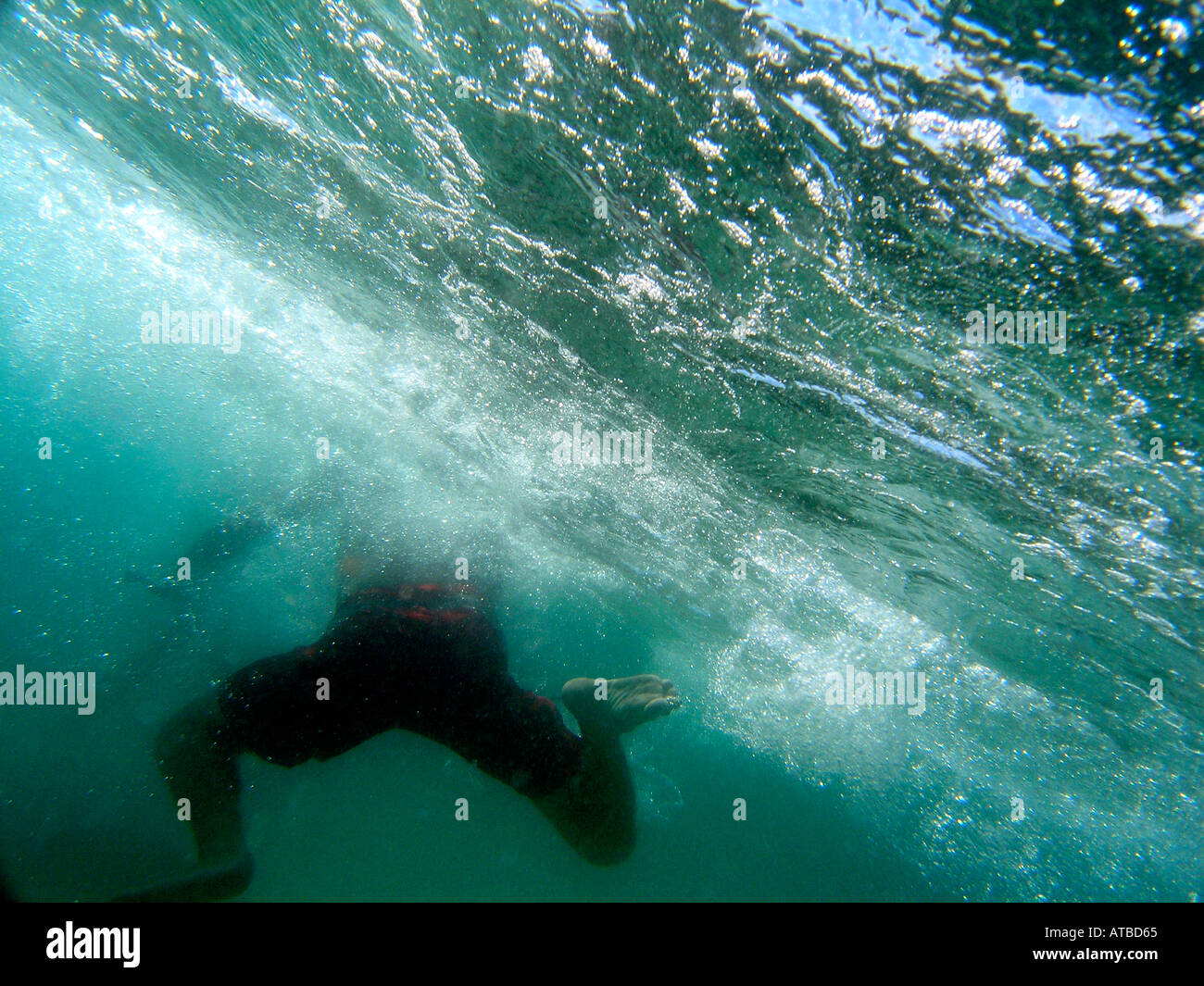 underwater in the surf at the beach, photo by Bruce Miller Stock Photo ...