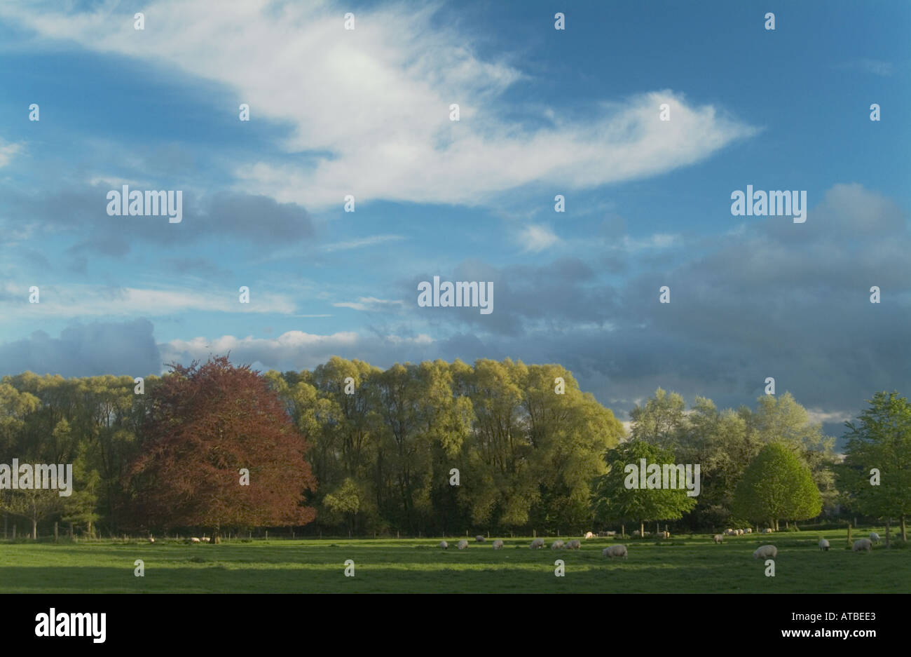 Tackley Oxfordshire England UK Stock Photo - Alamy