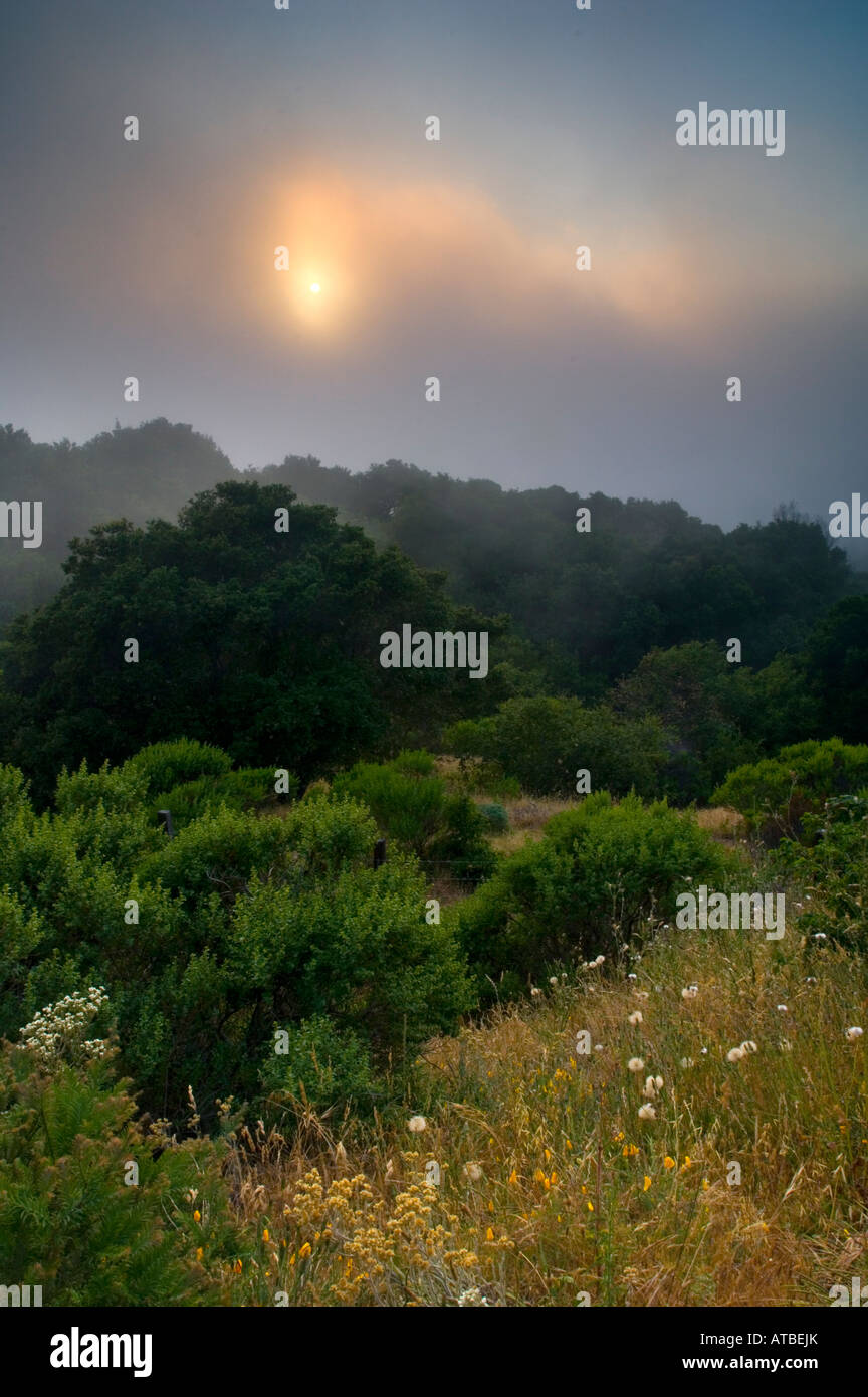 Sunset through coastal fog in hills along the old coast road Big Sur ...
