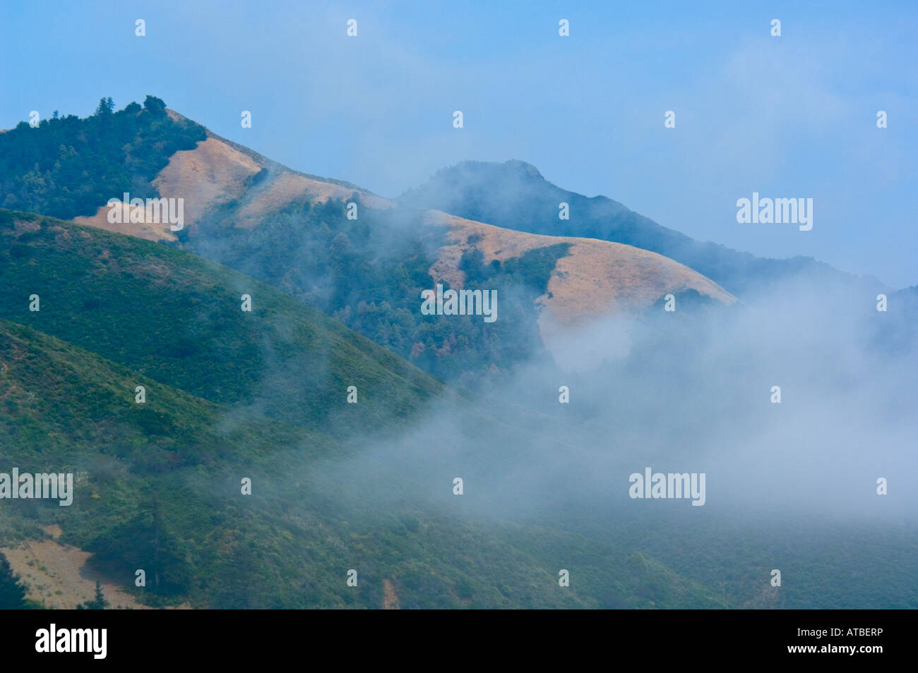 Coastal fog and trees on hillside along Big Sur Coast Monterey County ...