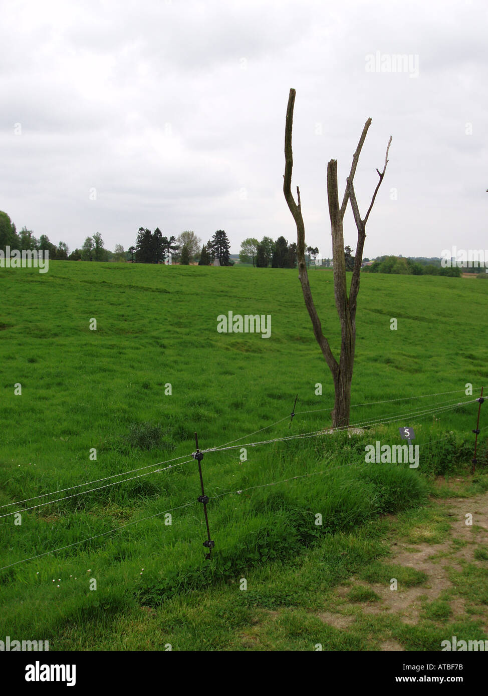 The Danger tree in Newfoundland memorial Park Stock Photo - Alamy