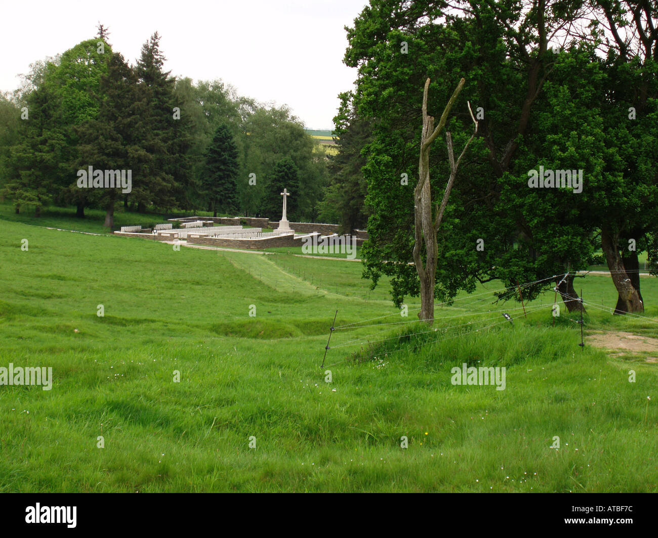 The Danger tree and Y Ravine Cemetery in Newfoundland memorial Park ...