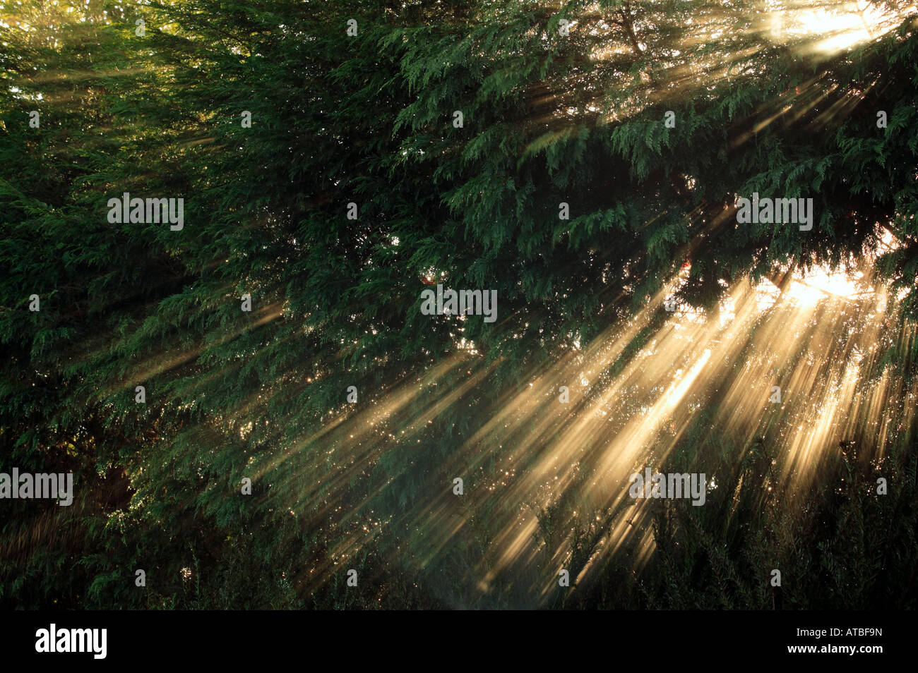 Breaking through from the other side hi-res stock photography and ...