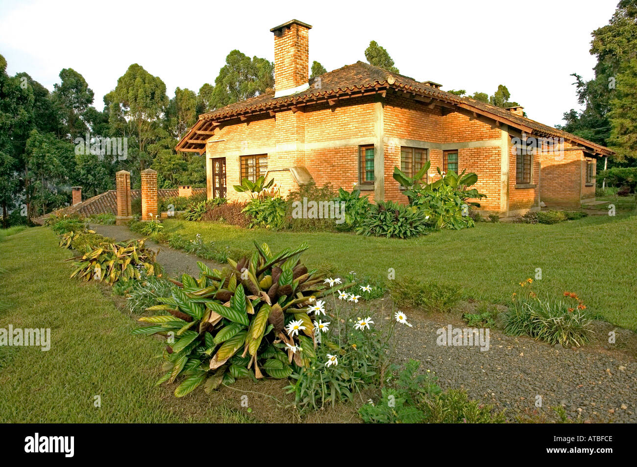 Gisakura Guest House, Gisakura tea plantation, Nyungwe National Forest ...