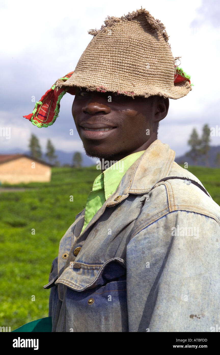 A man works at a tea plantation Gisakura tea plantation in Nyungwe ...