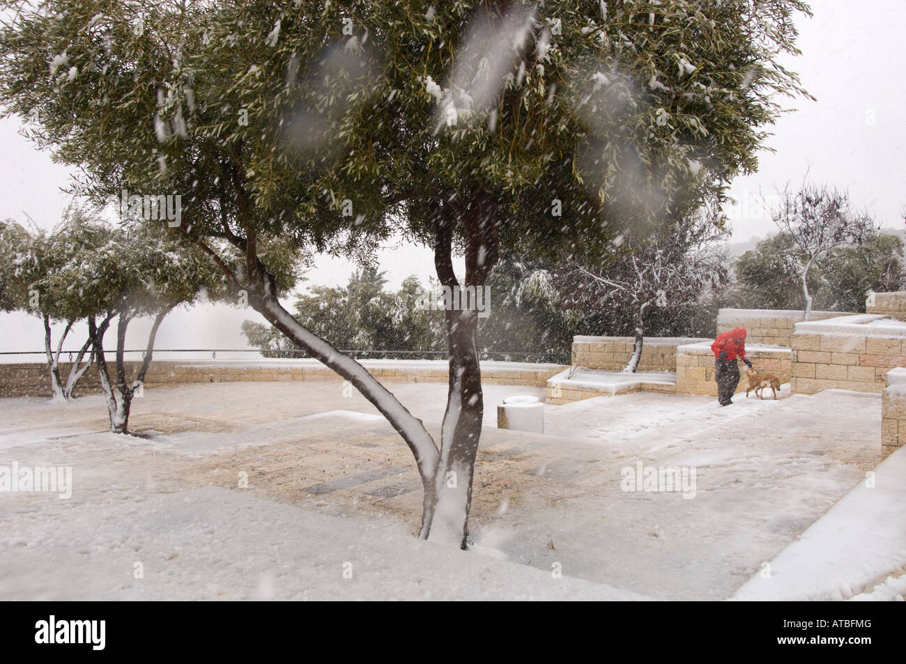 Israel Jerusalem East Talpiot Haas Promenade Stormy morning with hail ...