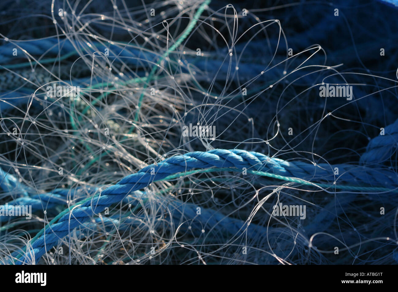 Fine fishing net and blue ropes Stock Photo - Alamy
