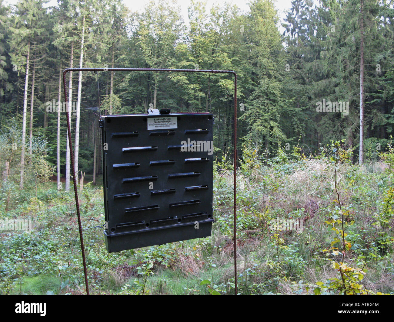 Bark beetle trap hi-res stock photography and images - Alamy