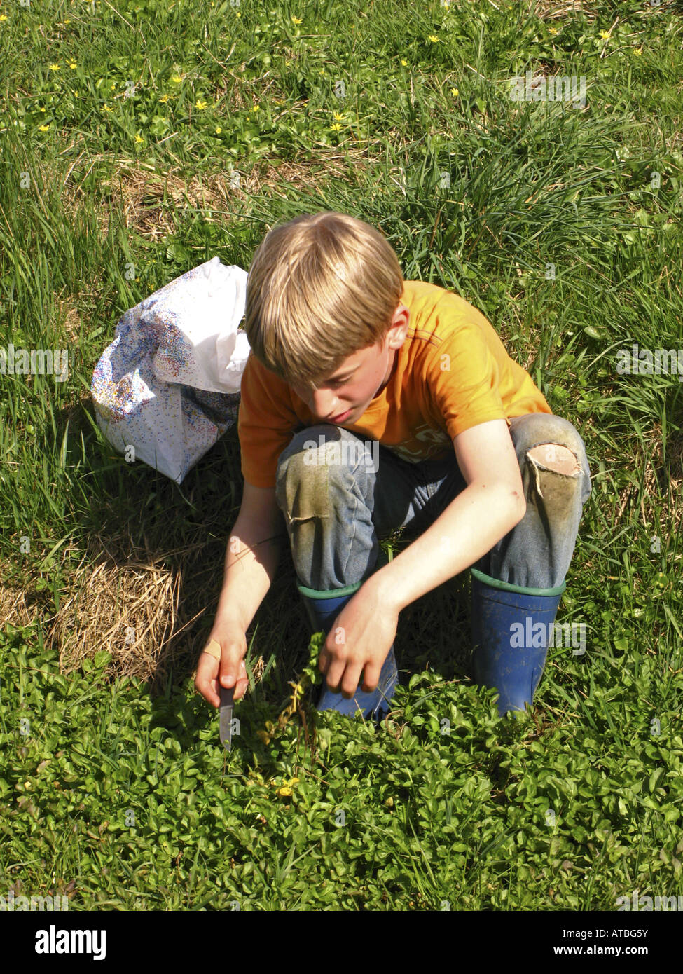 boy collecting herbs in a ditch Stock Photo - Alamy