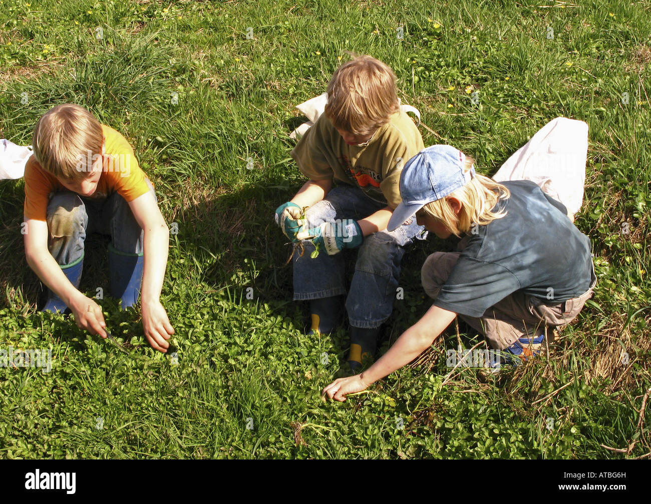 boys collecting herbs in a ditch Stock Photo - Alamy