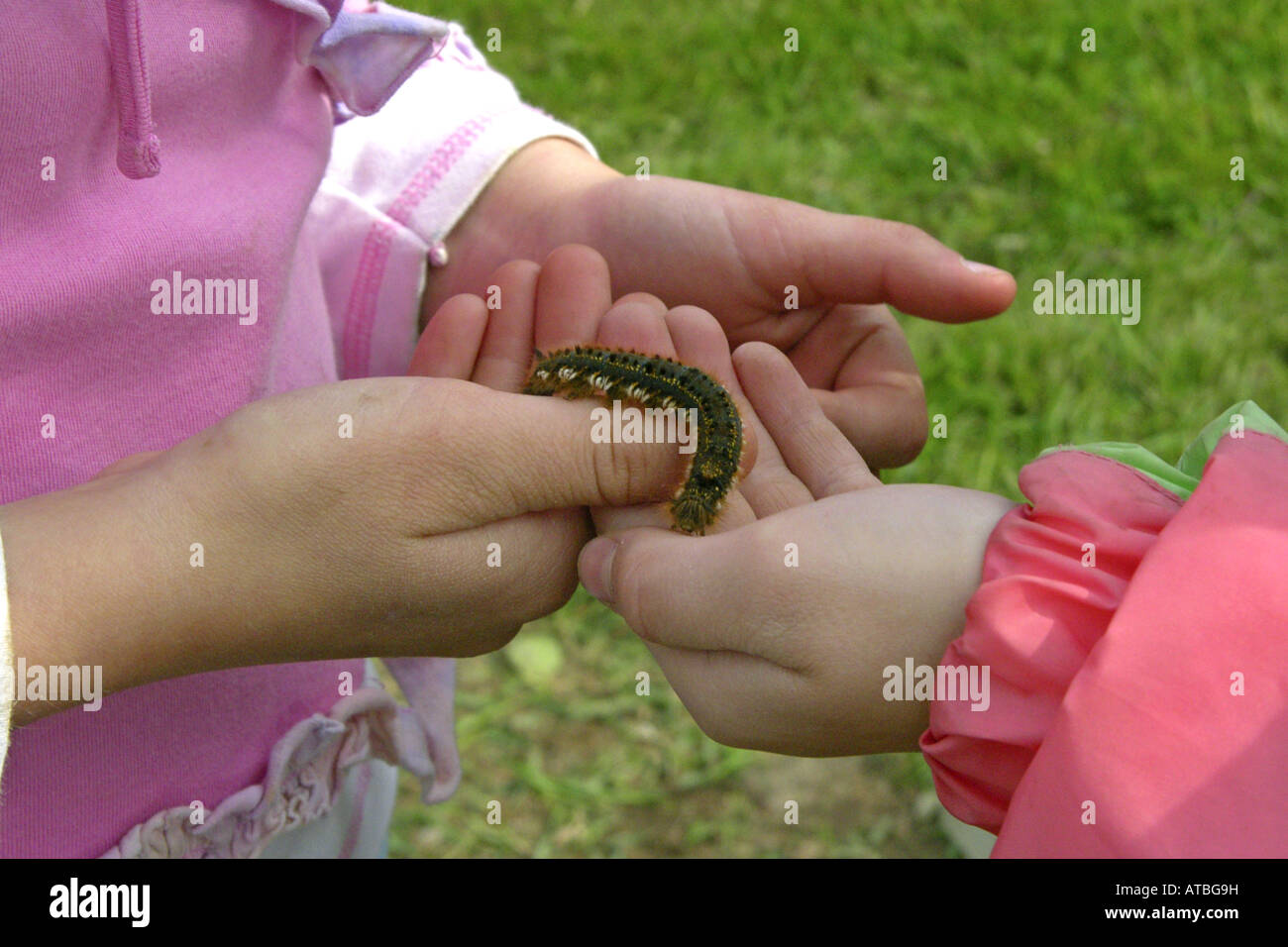 Girl looking at caterpillar hi-res stock photography and images - Alamy