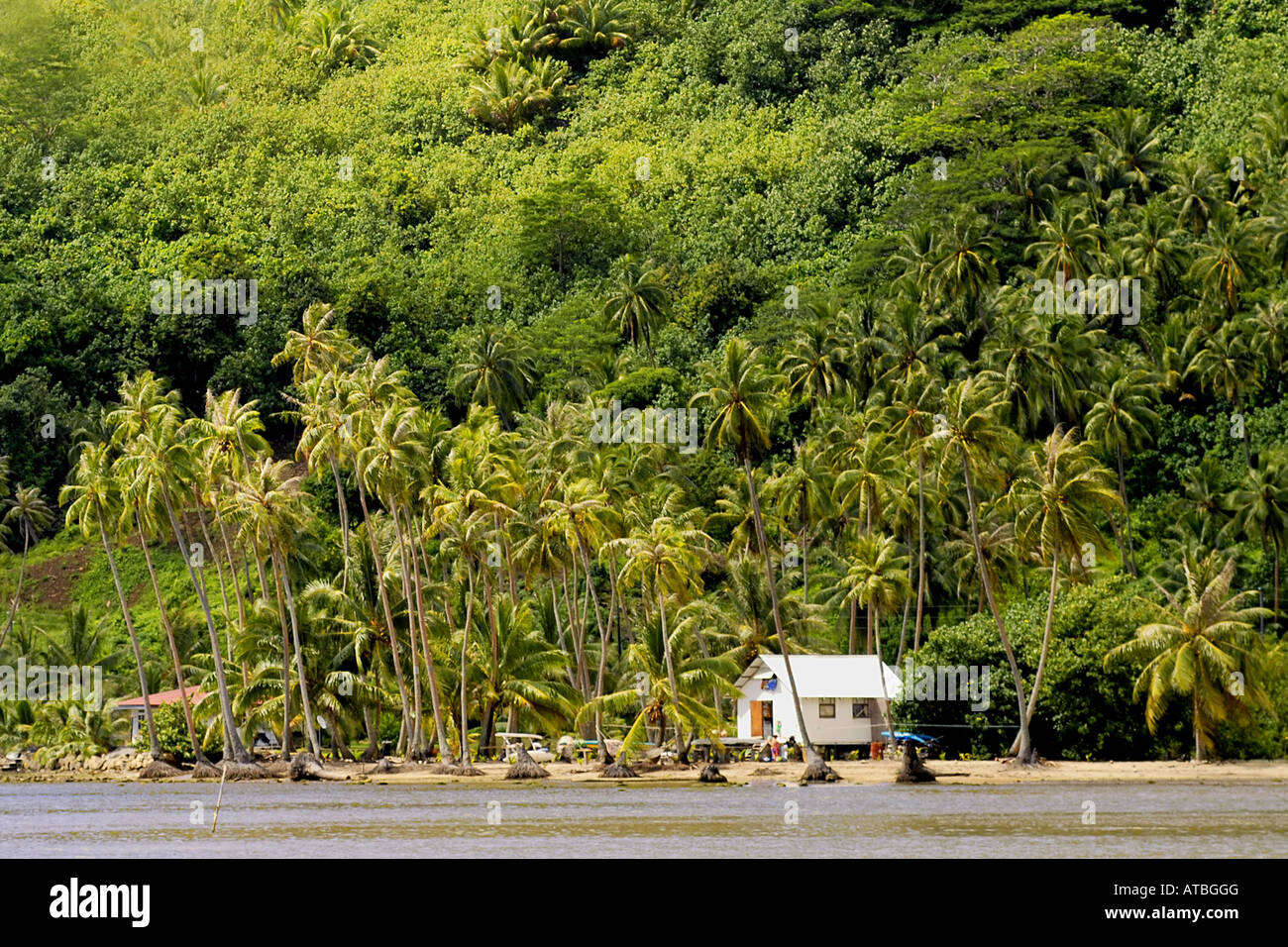 Beach Hut on a Beach on Bora Bora, French Polynesia, Bora Bora Stock ...