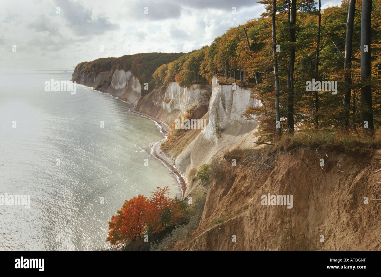 chalk cliff of Ruegen island in autumn, Germany, Mecklenburg Vorpommern ...