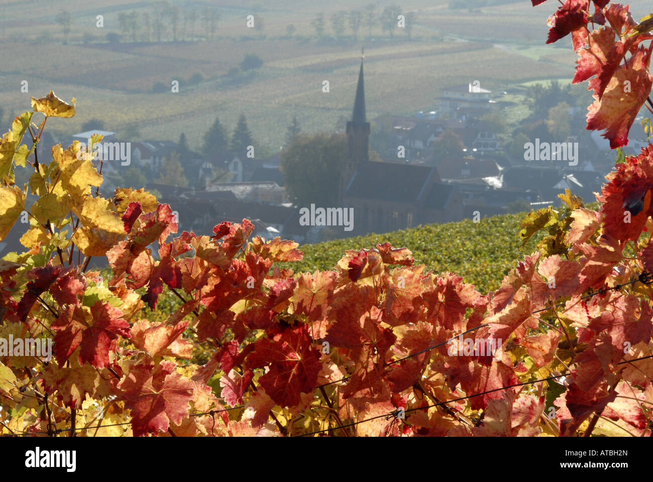 Winw growing hi-res stock photography and images - Alamy