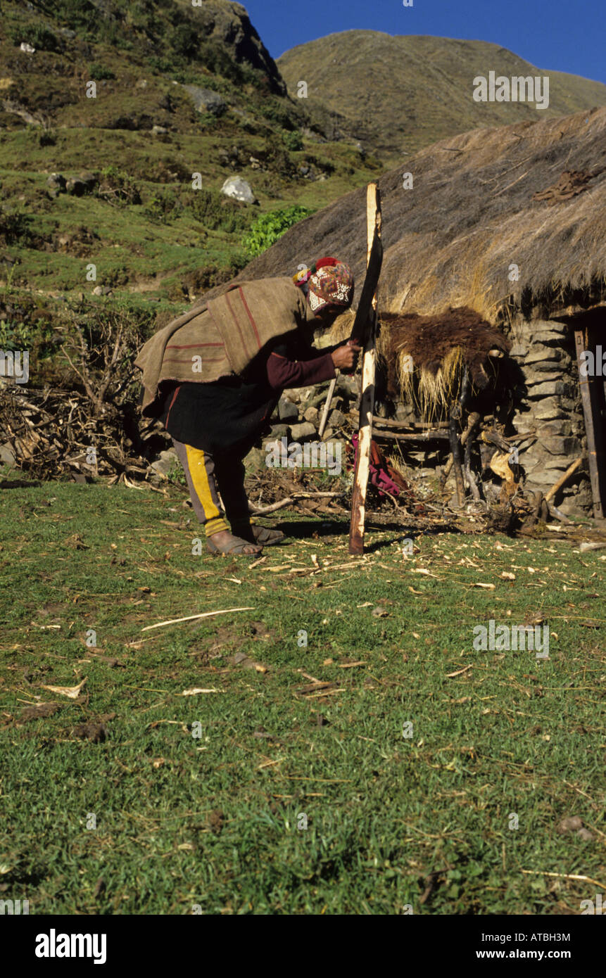 Native Quechua Indian of qero community of Peruvian high Andes ...