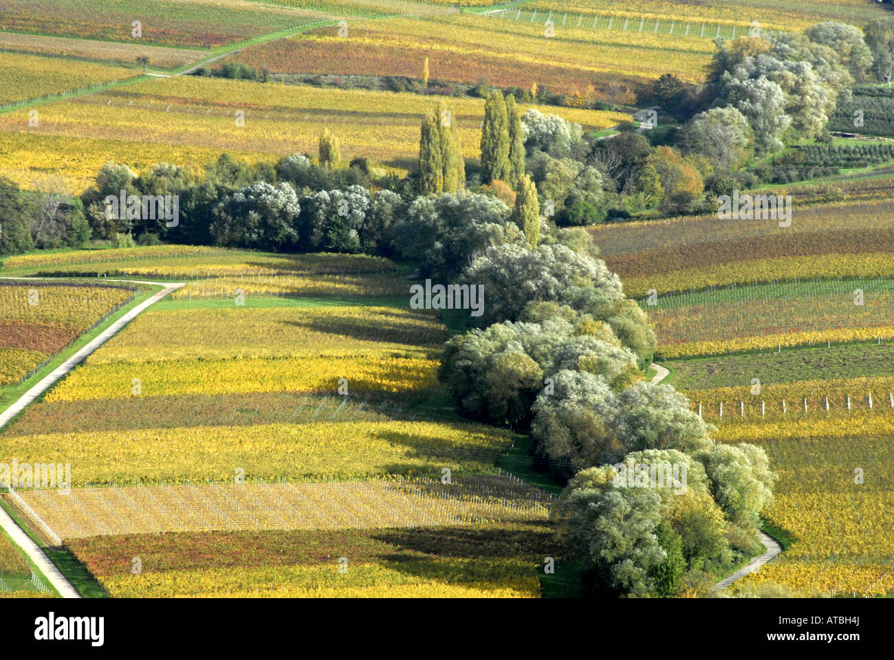 German wine route hi-res stock photography and images - Alamy