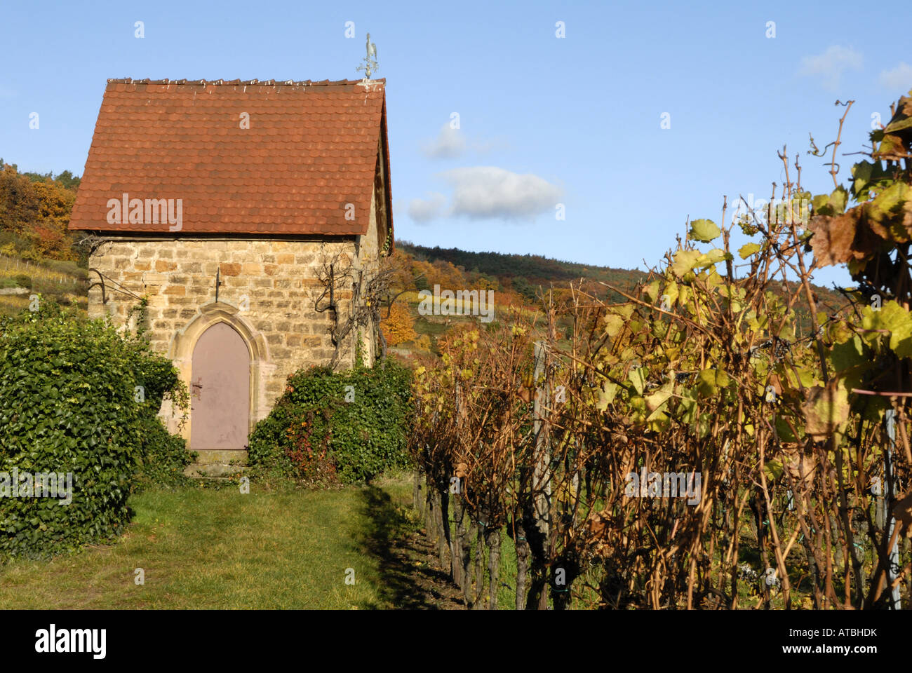 House of the german wine route hi-res stock photography and images - Alamy