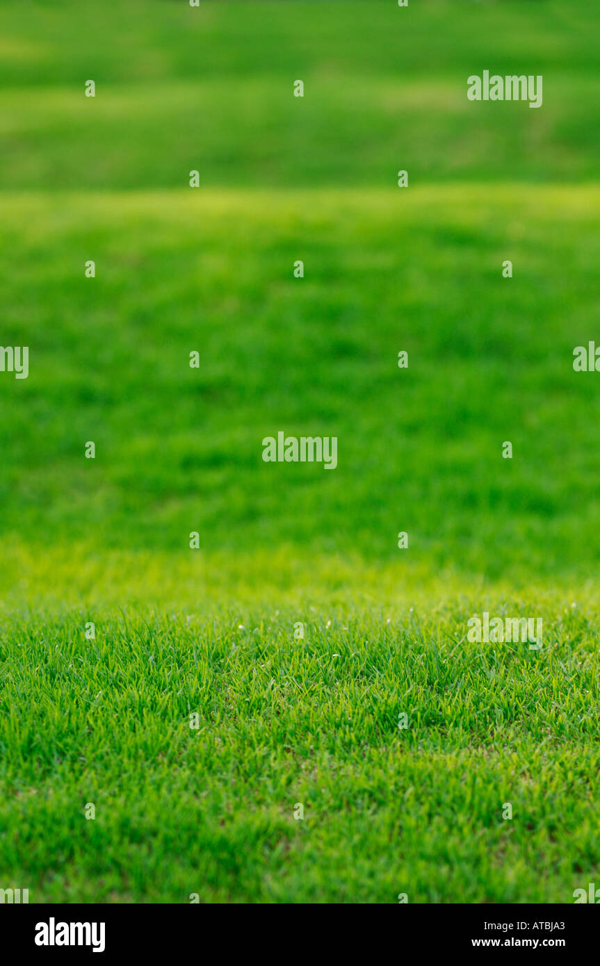 undulations in grass Stock Photo - Alamy