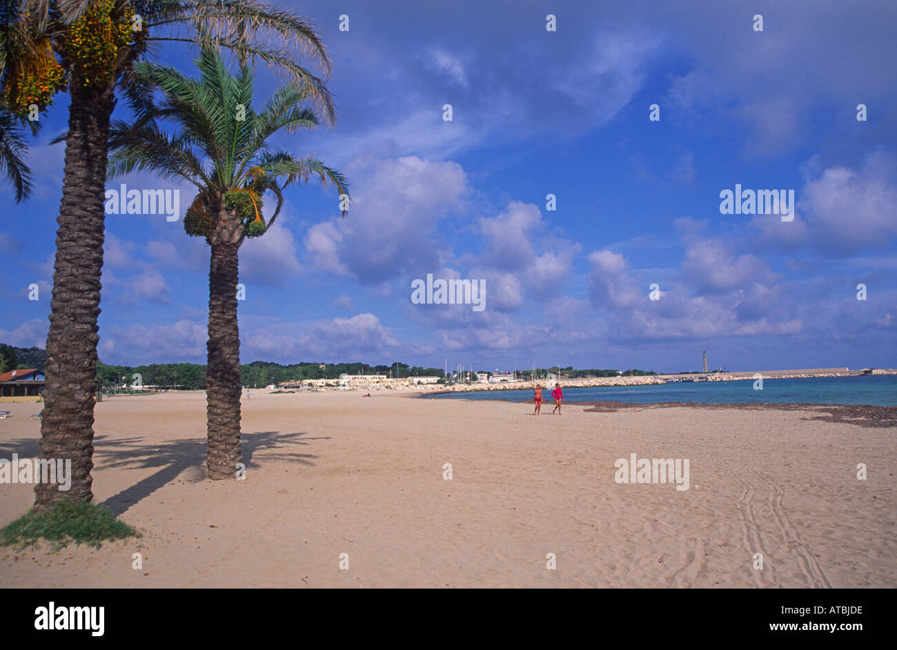 Date palm trees and sandy beach san Vito do Capo Sicily Italy Stock ...