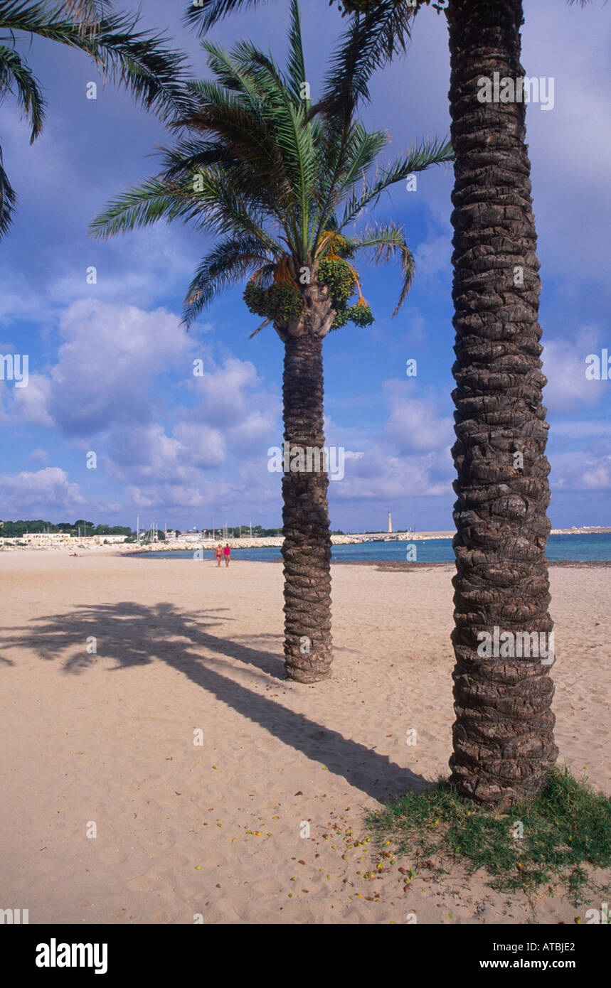 Date palm trees and sandy beach San Vito do Capo Sicily Italy Stock ...