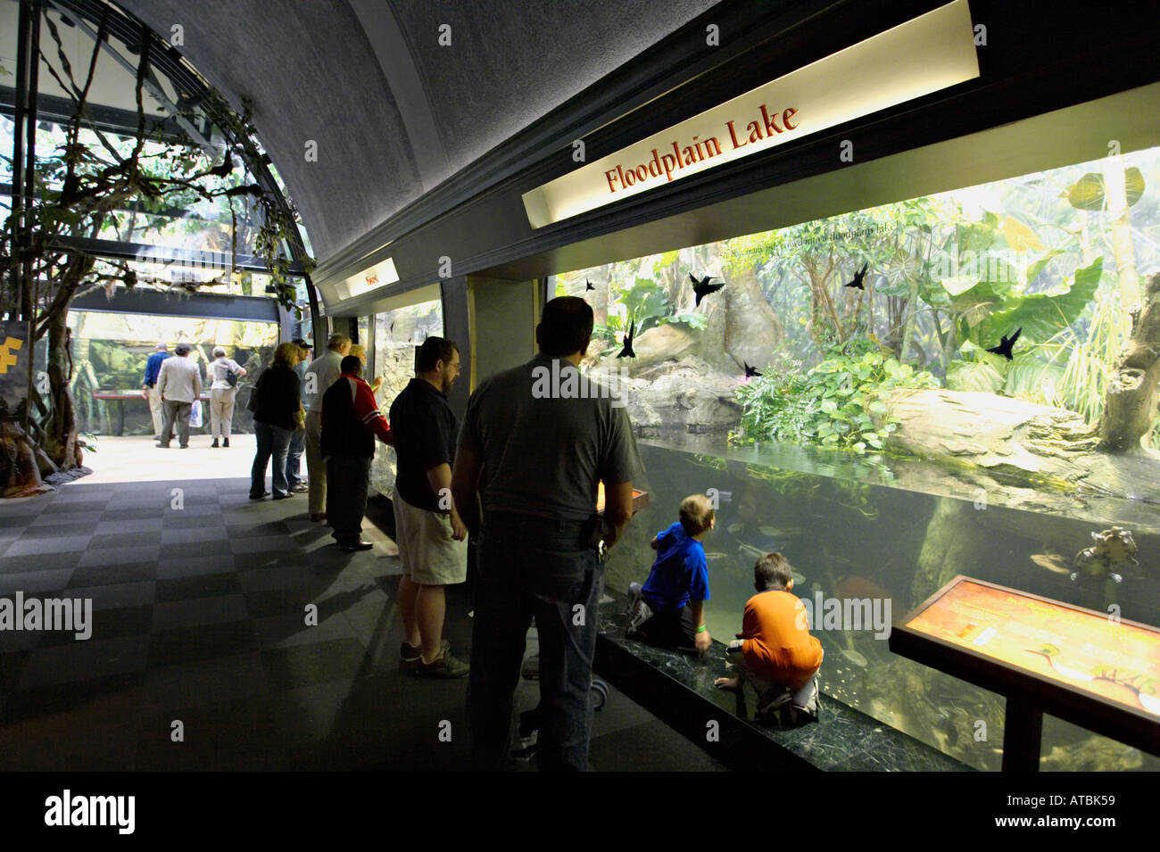 MUSEUMS Chicago Illinois Shedd Aquarium Amazon River Rising exhibit ...