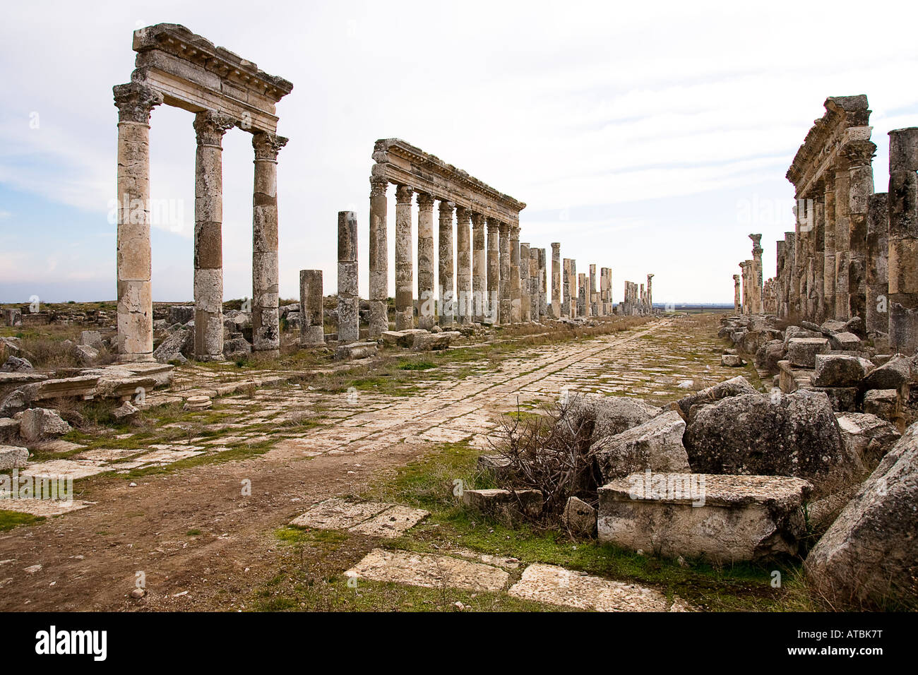 The ruins of Afamia Stock Photo - Alamy