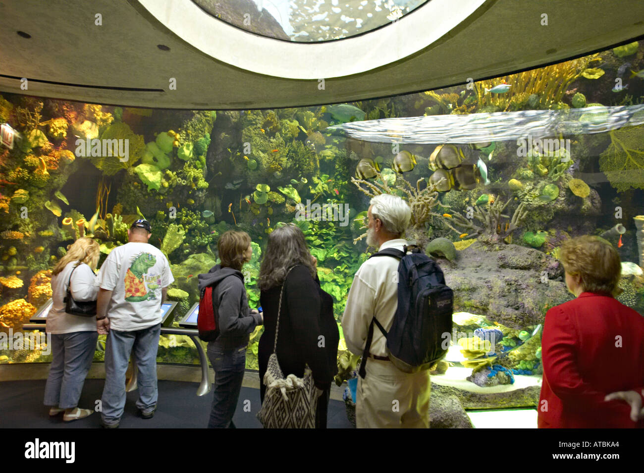 MUSEUMS Chicago Illinois Visitors read information signs and view fish ...