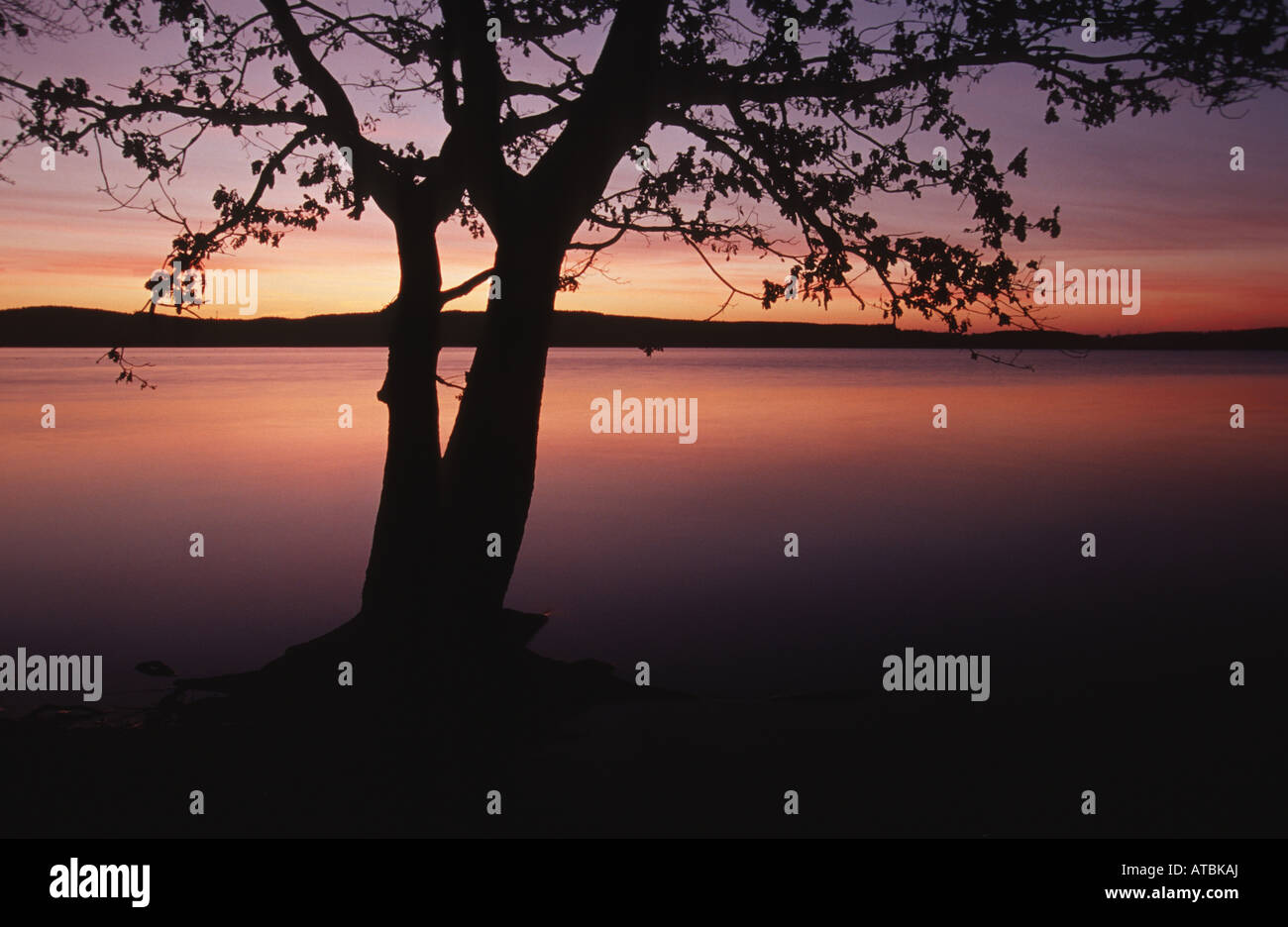 evening mood at the lake, Germany Stock Photo - Alamy