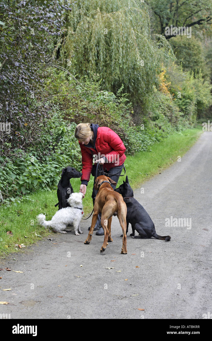 Human handlers hi-res stock photography and images - Alamy