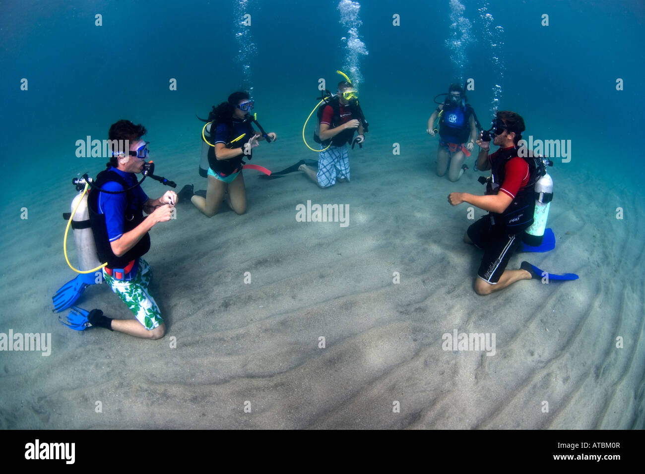 SCUBA diving lesson, teaching, caribbean sea, ocean, sea, scuba, diving ...