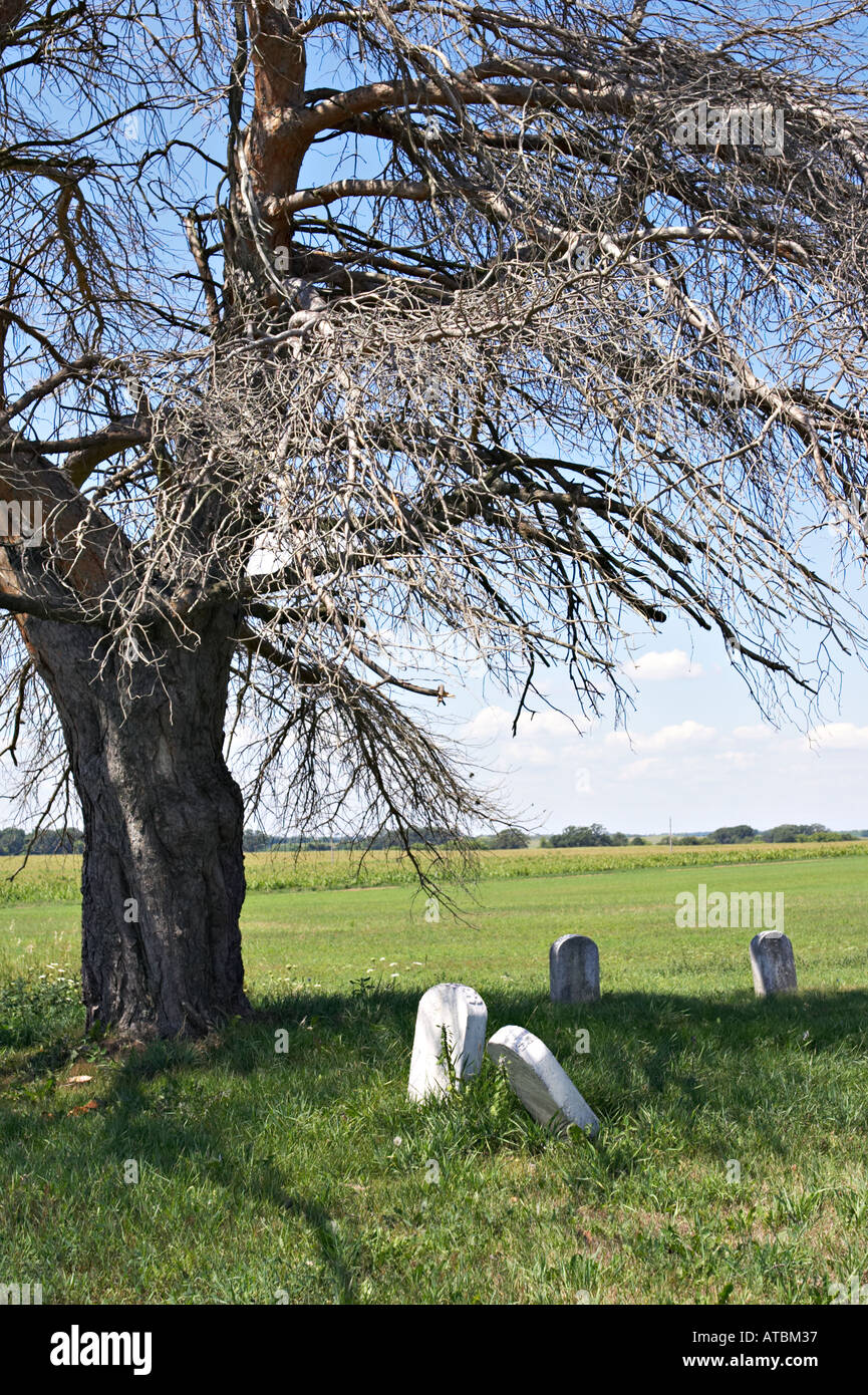 ILLINOIS Near Harvard Small cemetery plot grave markers under dead tree ...
