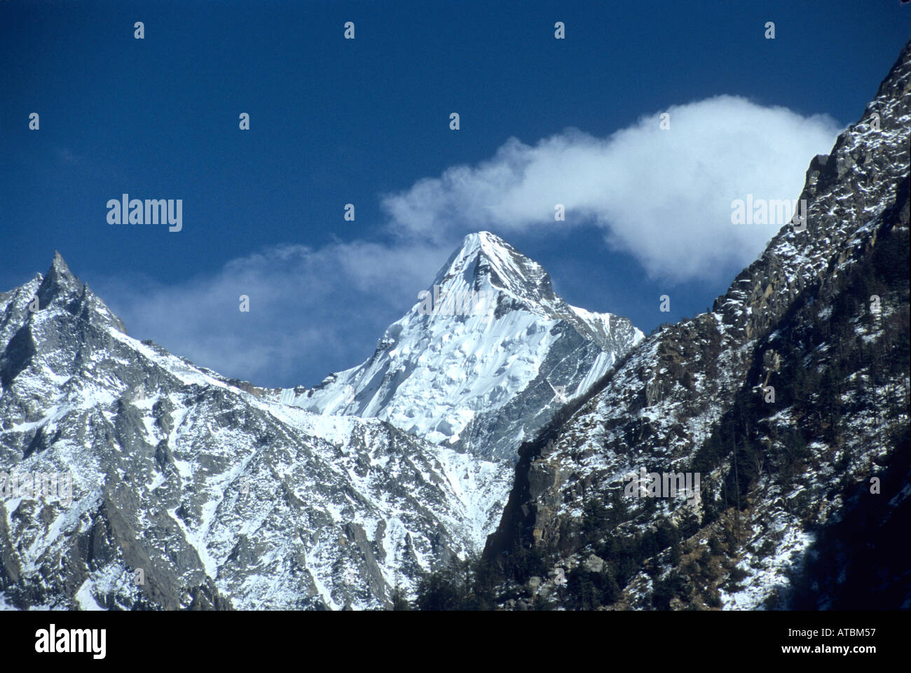 Gangotri himalaya hi-res stock photography and images - Alamy