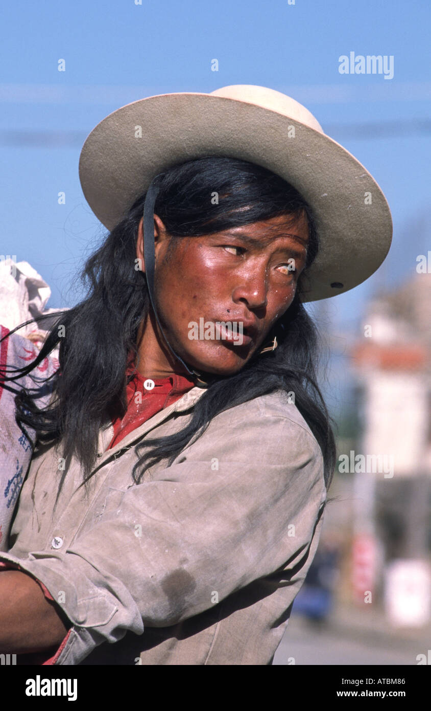Litang horse hi-res stock photography and images - Alamy