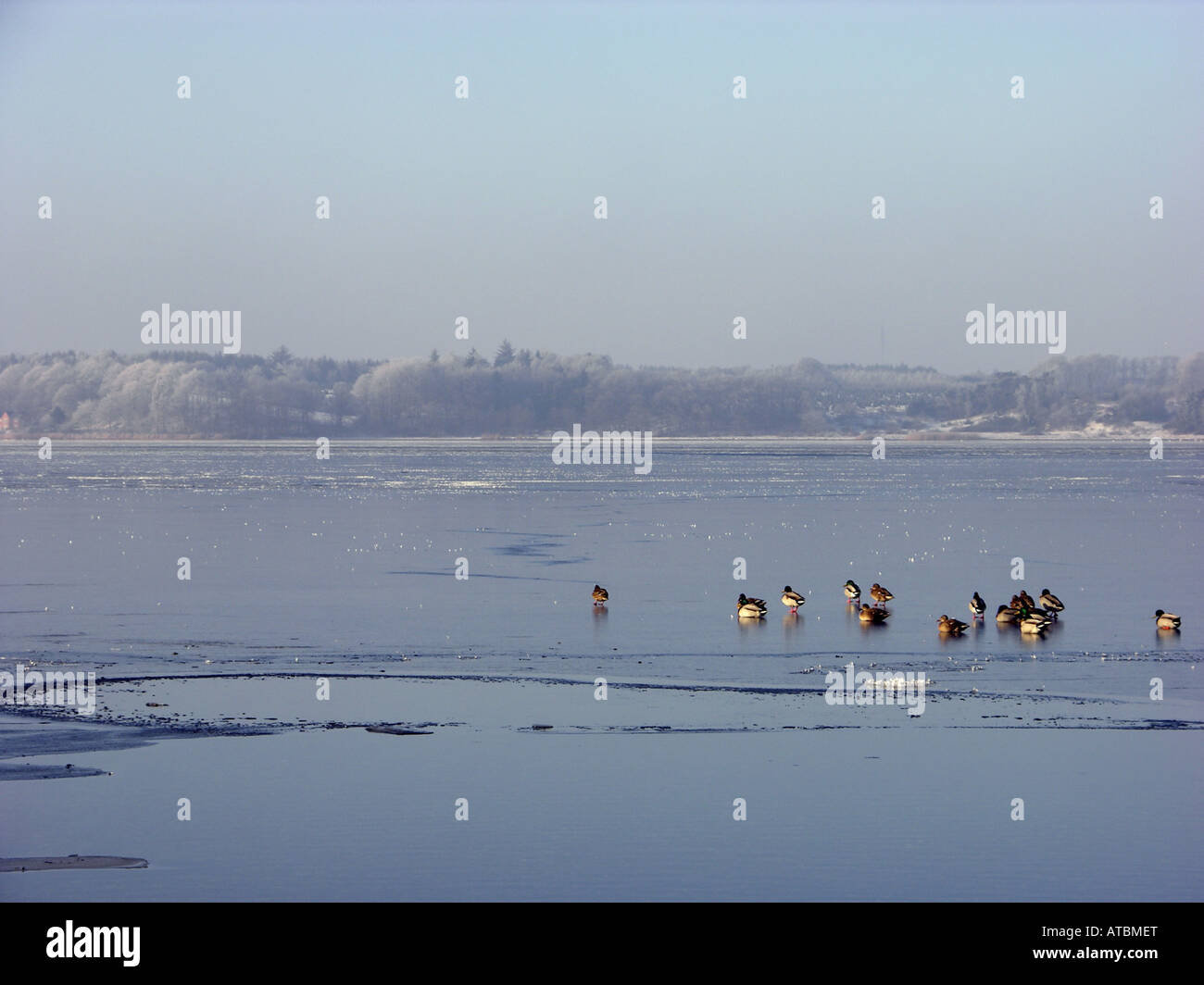 Icebound lakes hi-res stock photography and images - Alamy