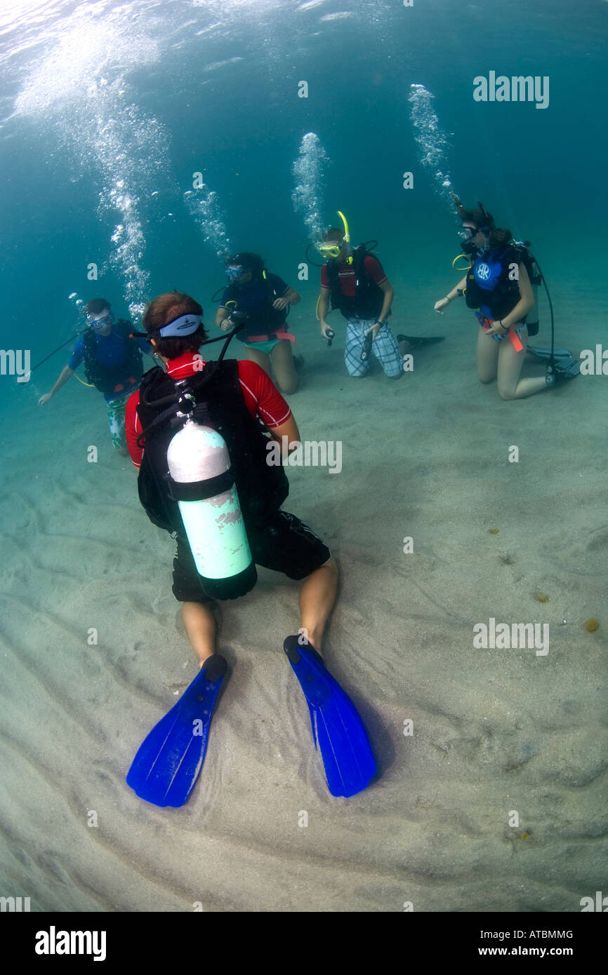 Diving instructor teaching class hi-res stock photography and images ...