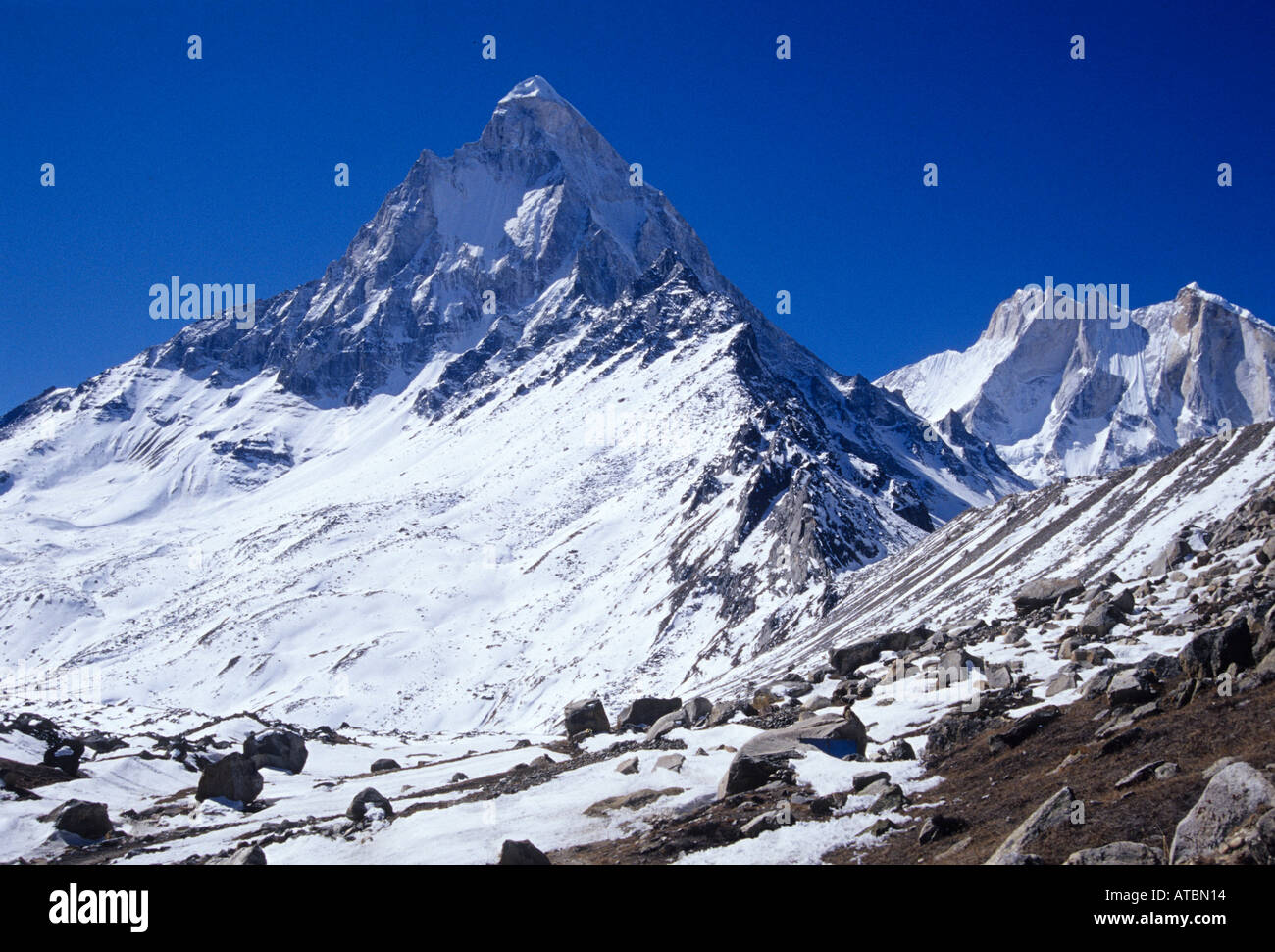 Snow covered mountain Shivling Peak 6543 meters Gangotri region ...