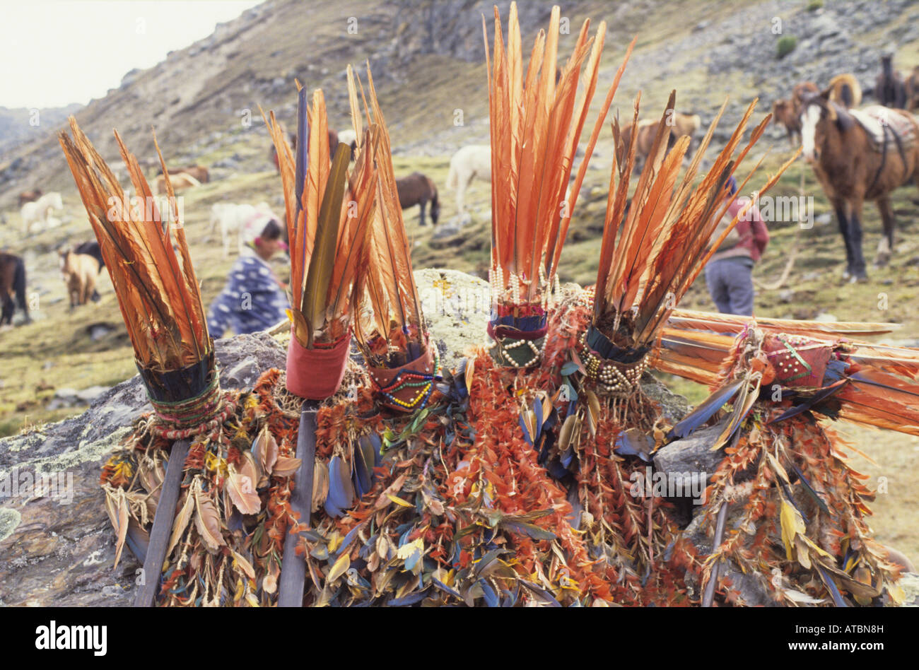 The feather head dresses of the native Incas show their bravery as they ...