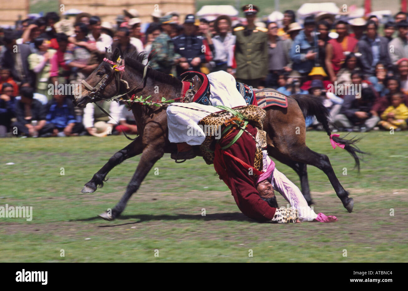 Horse acrobatics at Litang horse festival. Sichuan, China Stock Photo ...