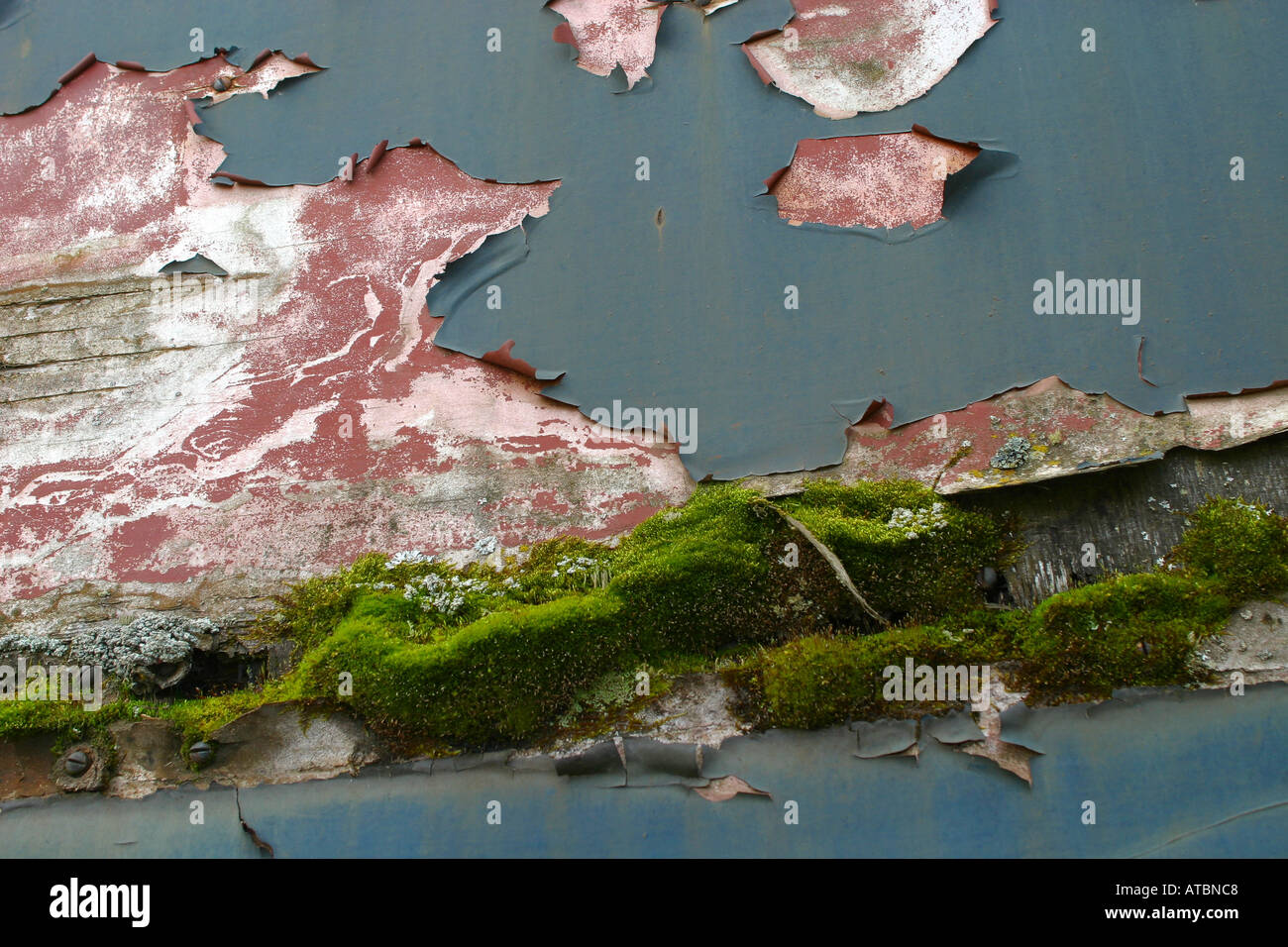 Cracked paint on an old railway car Stock Photo - Alamy